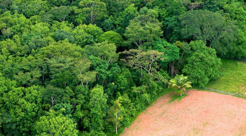 Minam refuerza sus estrategias archivos - Diario Ahora